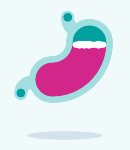 RefluxG – Relieve Heartburn and Indigestion